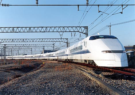 Rakki Orient-ation – birds & musings